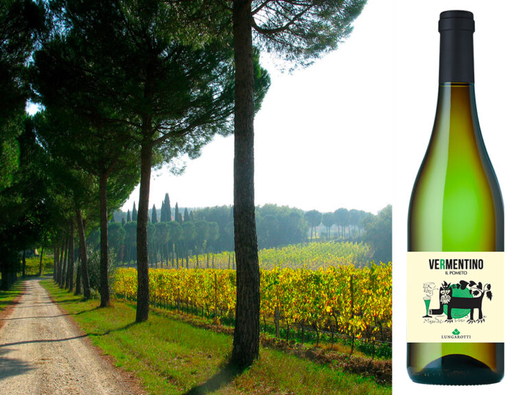 Vermentino - Lungarotti - Torgiano | Umbria - Italy